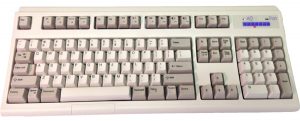 Buckling Spring: The Origin of Mechanical Keyboards