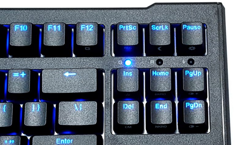 Max Keyboard Blackbird Review: TKL Mechanical Keyboard, Ambient Lighting